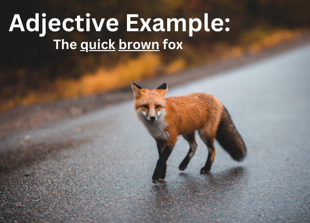 Adjective Definition And Examples adjective-definition-and-examples
