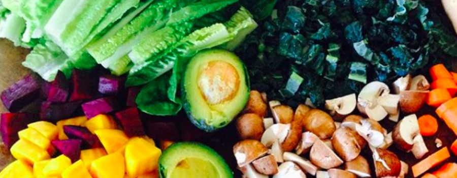 GAPS Diet Protocol Overview